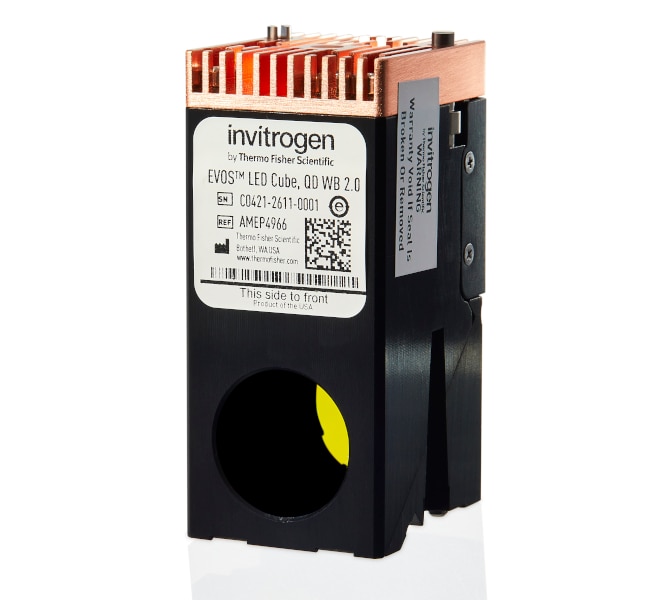 EVOS™ Light Cube, QDOT WB 525-800 2.0