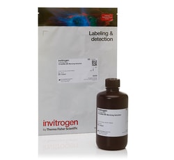 Qubit™ 1X dsDNA High Sensitivity (HS) and Broad Range (BR) Assay Kits