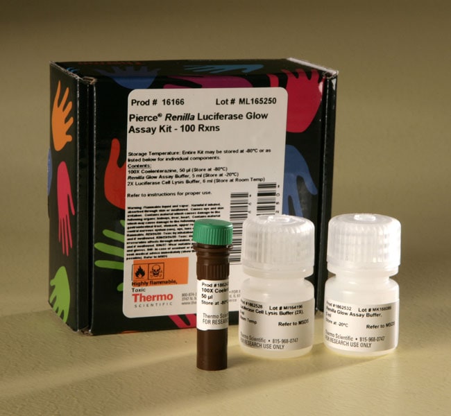Pierce™ Renilla Luciferase Glow Assay Kit