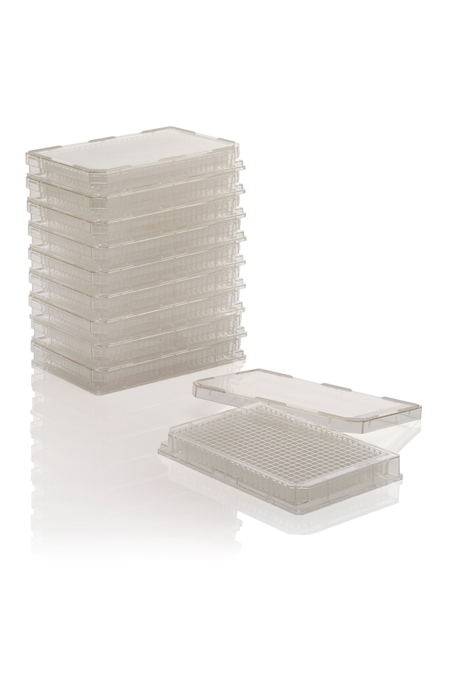 384 Well Plate, TC Surface, Pack of 10