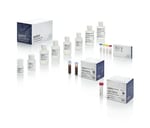 DNA 提取和纯化 | Thermo Fisher Scientific