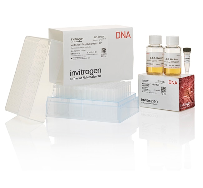 MultiShot™ StripWell DH5α T1R Competent Cells