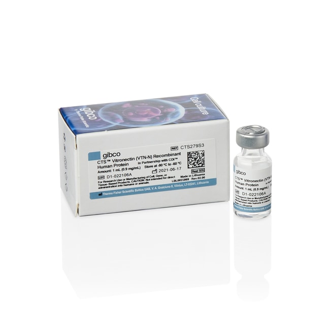 CTS™ Vitronectin (VTN-N) Recombinant Human Protein, truncated