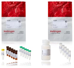 EnzChek™ 3C-like Protease (3CLpro) & Papain-like Protease (PLpro) Assay ...