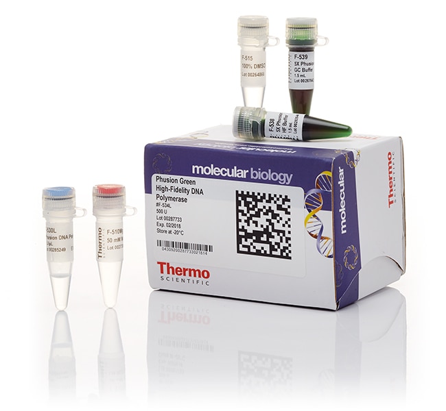 Phusion Green 高保真 DNA 聚合酶 (2 U/µL)