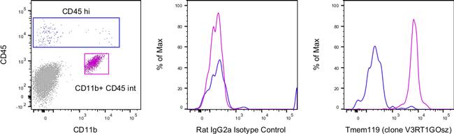 Tmem119 Antibody, PE-Cyanine7 (25-6119-82)