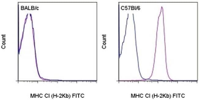 MHC Class I (H-2Kb) Antibody, FITC (11-5958-82)