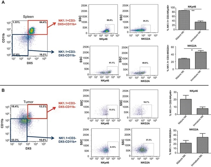 CD49b (Integrin alpha 2) Antibody, FITC (11-5971-82)