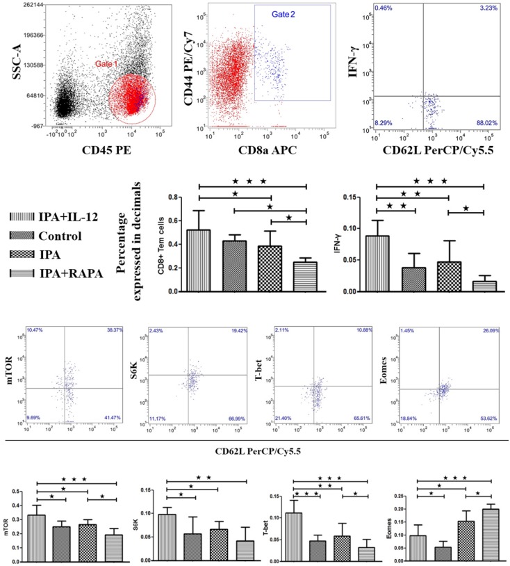 CD8a Antibody, PE (12-0081-82)