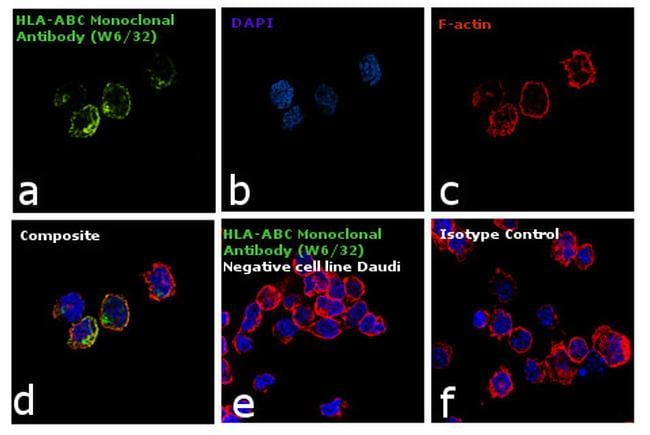 HLA-ABC Antibody, FITC (11-9983-42)