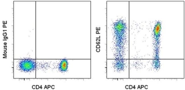 CD62L (L-Selectin) Antibody, PE (12-0629-42)