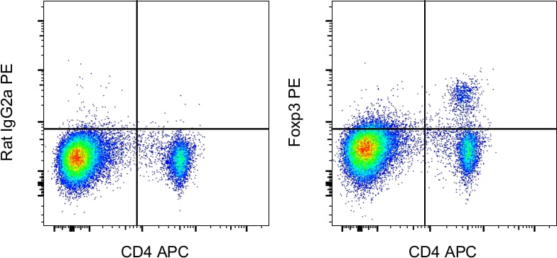 FOXP3 Antibody, PE (12-5773-82)