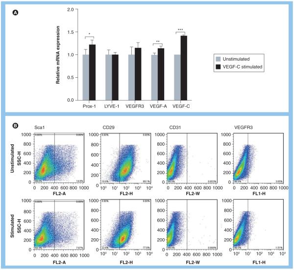 CD29 (Integrin beta 1) Antibody, FITC (11-0291-82)
