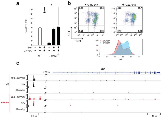 CD71 (Transferrin Receptor) Antibody (14-0711-82)