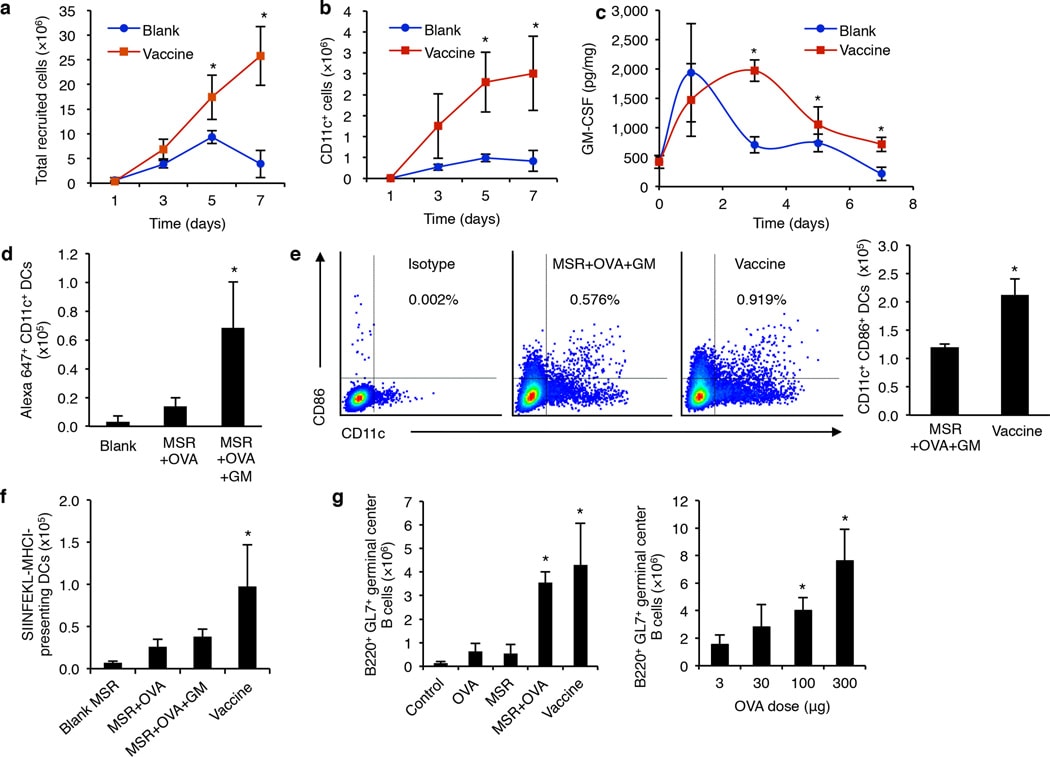 CD86 (B7-2) Antibody (14-0862-82)