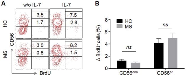 BrdU Antibody, FITC (11-5071-42)