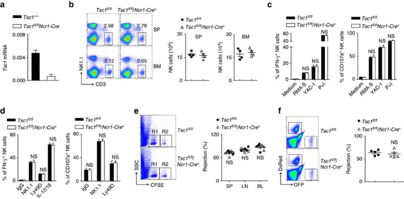 CD3 Antibody (14-0032-82)