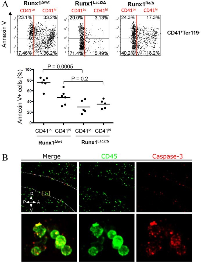 CD41a Antibody, Functional Grade (16-0411-85)