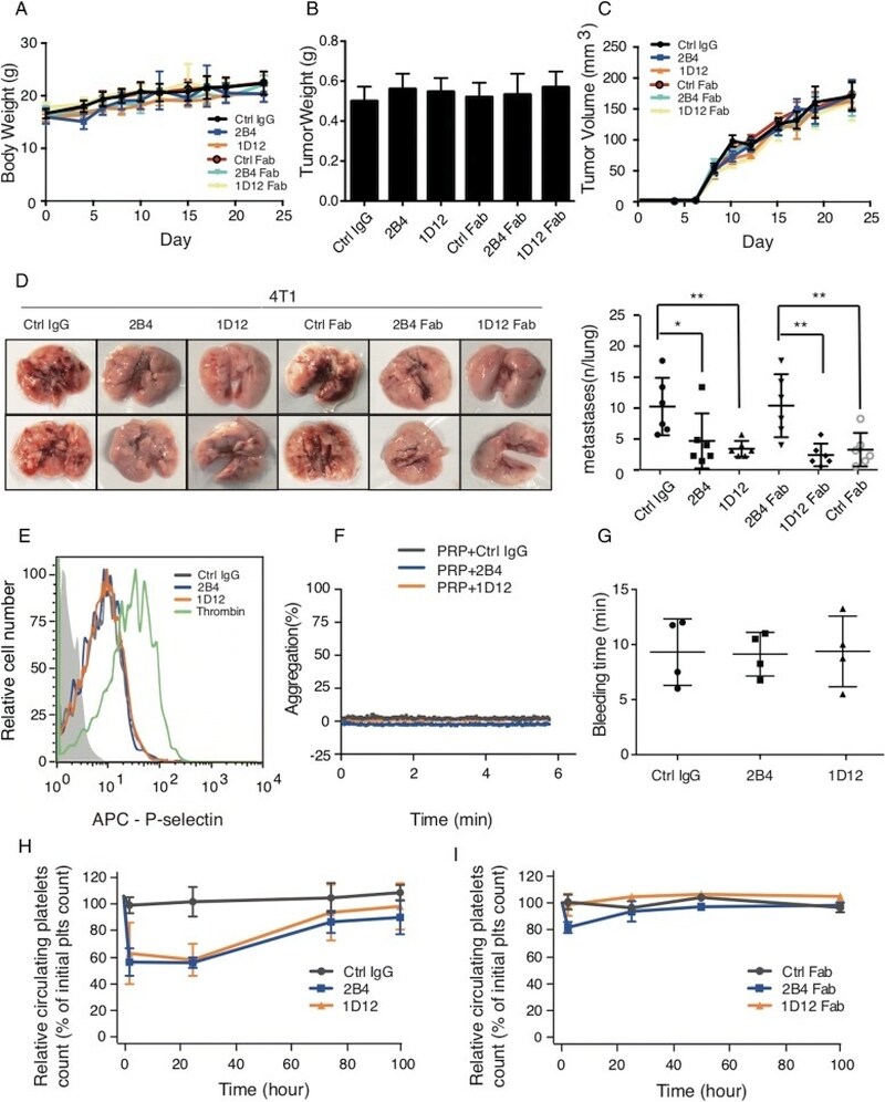 CD62P (P-Selectin) Antibody, APC (17-0626-82)