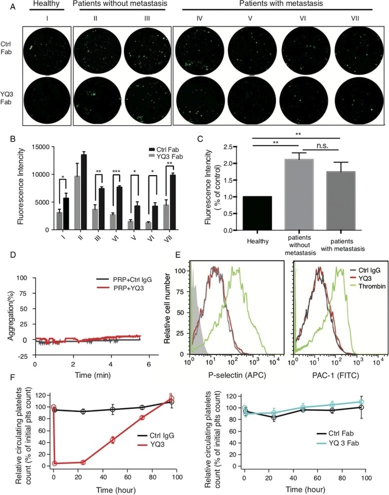 CD62P (P-Selectin) Antibody, APC (17-0626-82)
