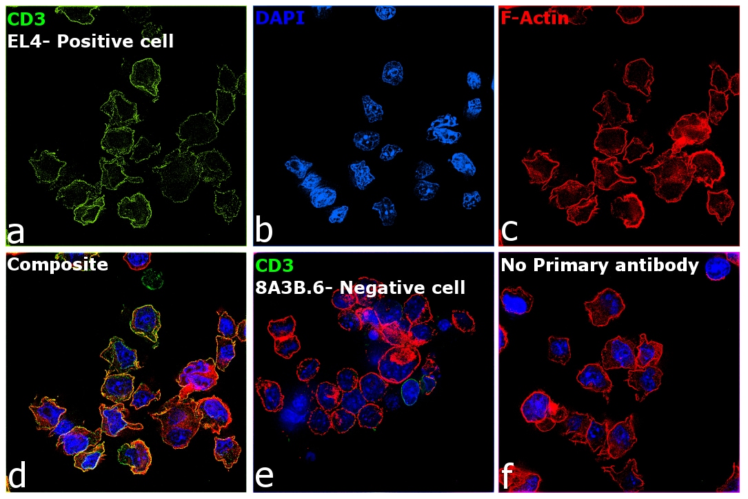 CD3 Antibody (14-0030-82)
