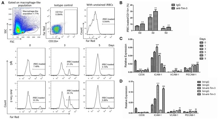 CD366 (TIM3) Antibody, PE (12-5870-82)