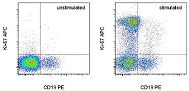 Ki-67 Antibody, APC (17-5699-42)