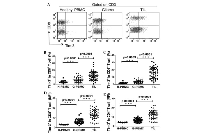 CD8a Antibody, Functional Grade (16-0086-85)