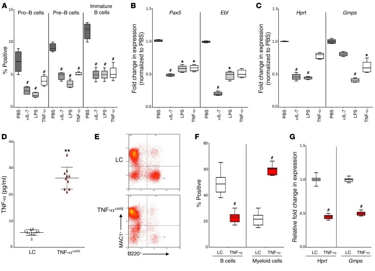 CD45R (B220) Antibody (14-0452-82)