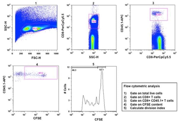 CD45.1 Antibody, PE (12-0453-82)