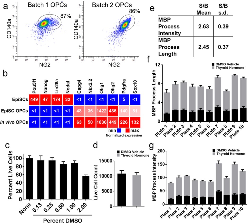 CD140a (PDGFRA) Antibody (14-1401-82)