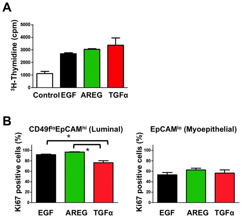 CD49f (Integrin alpha 6) Antibody, PE (12-0495-82)