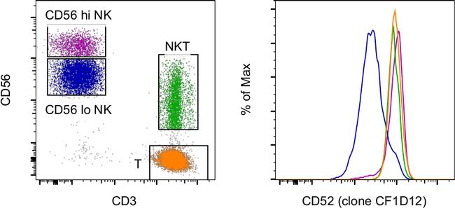 CD52 Antibody, Super Bright™ 600 (63-0529-42)