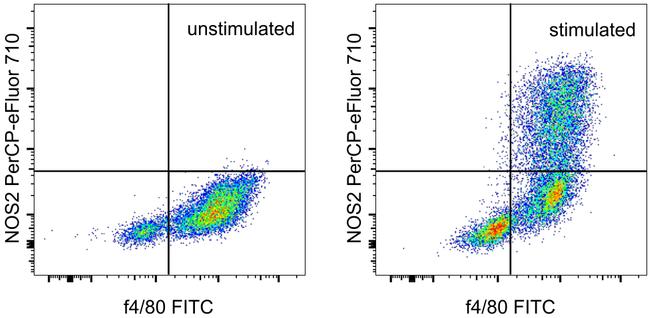 iNOS Antibody, PerCP-eFluor™ 710 (46-5920-82)