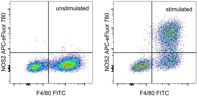 iNOS Antibody, APC-eFluor™ 780 (47-5920-82)