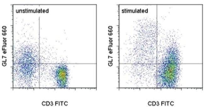 GL7 Antibody, eFluor™ 660 (50-5902-82)