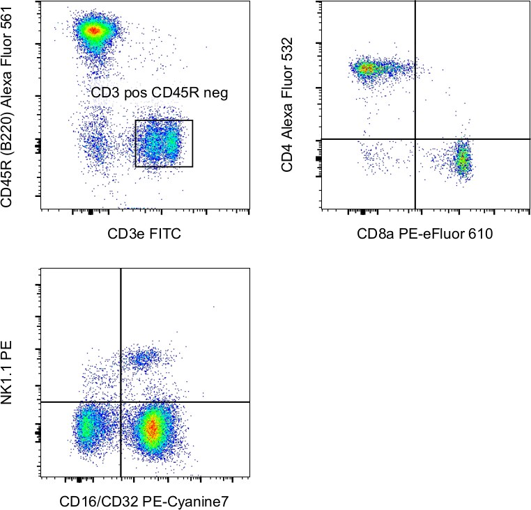 CD45R (B220) Antibody, Alexa Fluor™ 561 (505-0452-82)