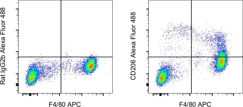 CD206 (MMR) Antibody, Alexa Fluor™ 488 (53-2061-82)