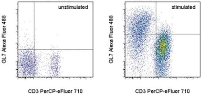 GL7 Antibody, Alexa Fluor™ 488 (53-5902-82)