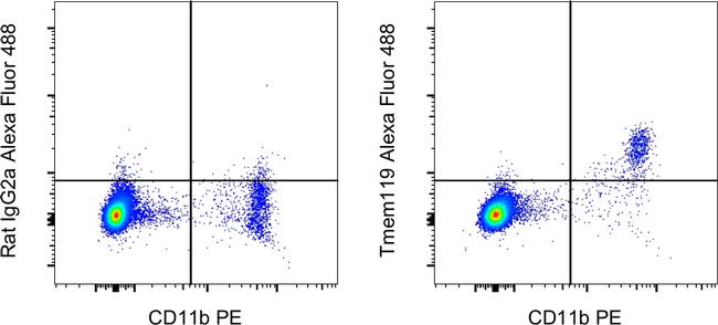 Tmem119 Antibody, Alexa Fluor™ 488 (53-6119-82)