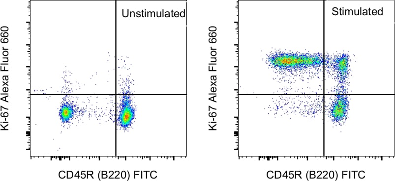 Ki-67 Antibody, Alexa Fluor™ 660 (606-5698-82)