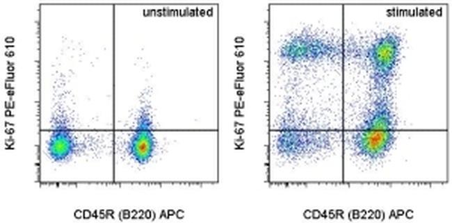 Ki-67 Antibody, PE-eFluor™ 610 (61-5698-82)