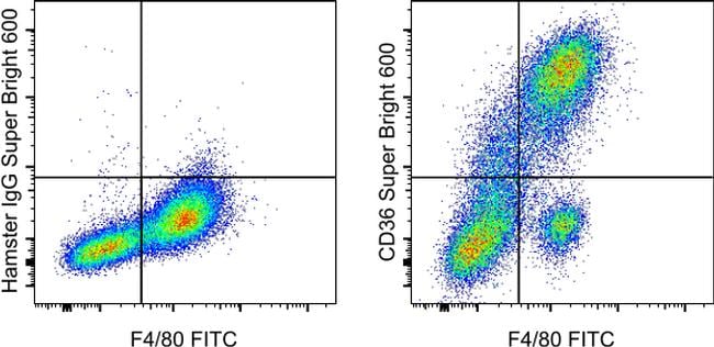 CD36 Antibody, Super Bright™ 600 (63-0362-82)
