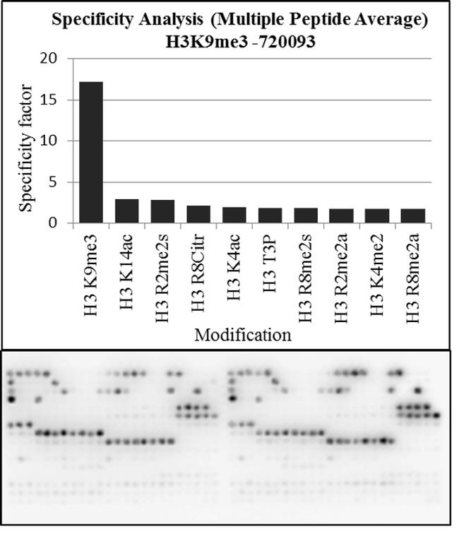 H3K9me3 Antibody (720093)