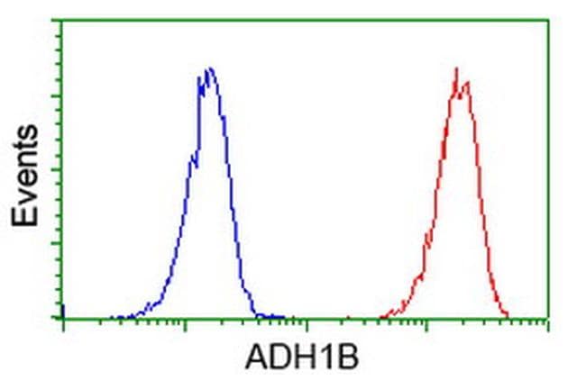 ADH1B Antibody (TA502777)