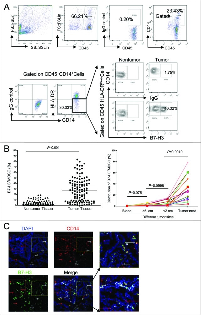 CD276 (B7-H3) Antibody, Biotin (13-5973-82)