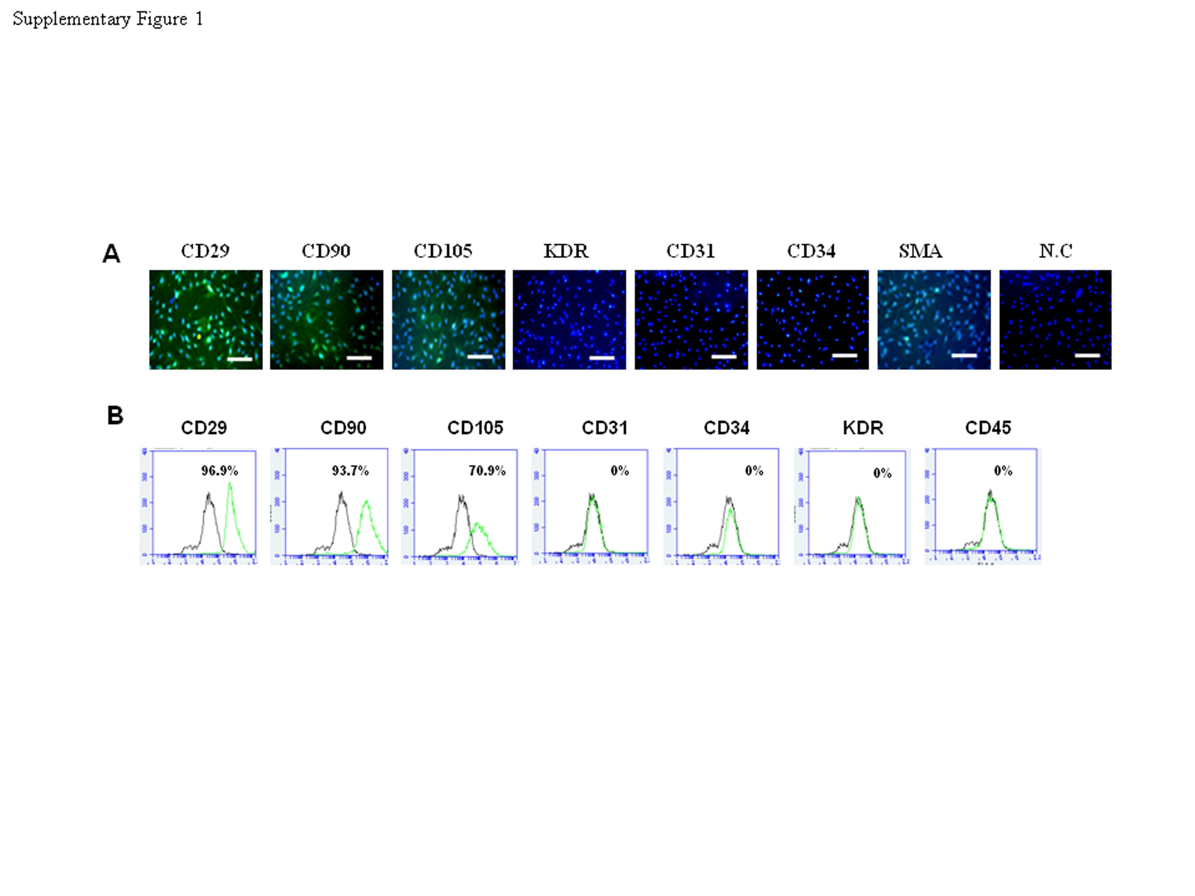 CD105 Antibody (MHCD10500)