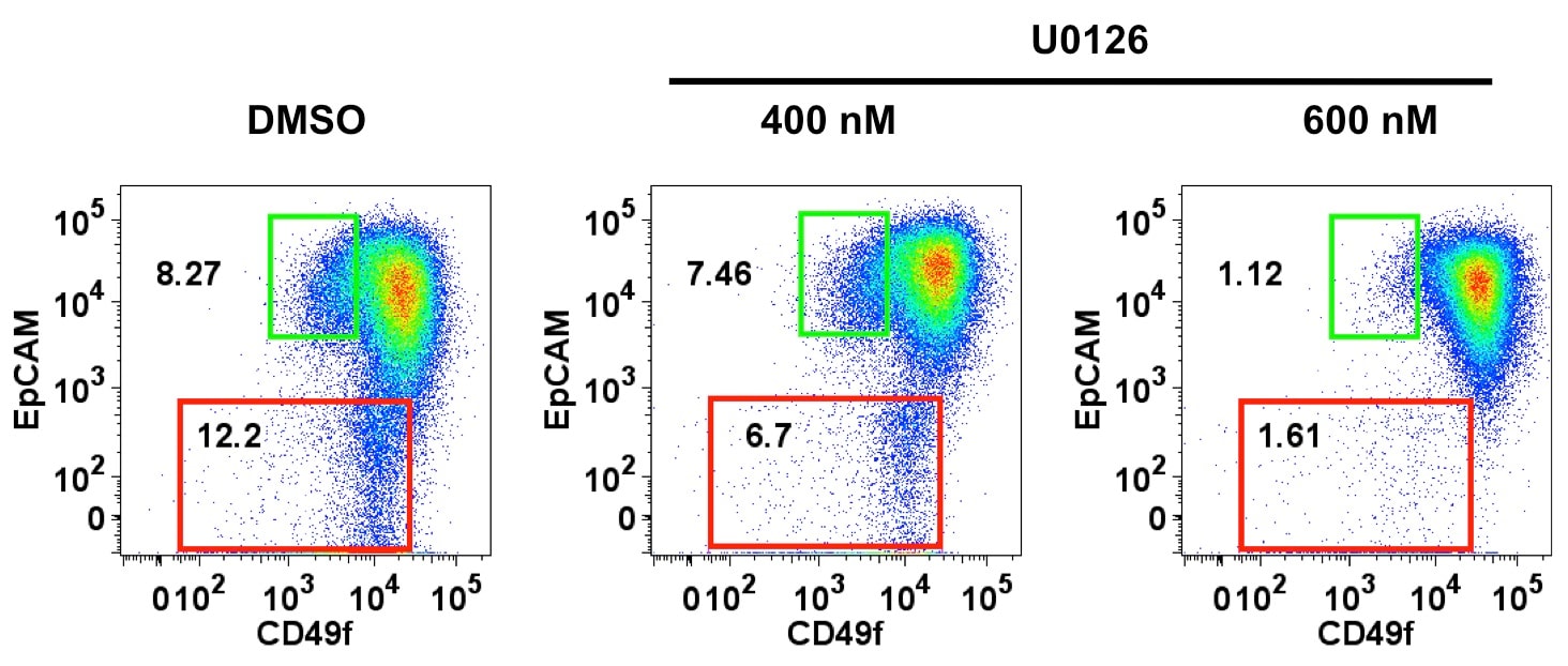 CD49f (Integrin alpha 6) Antibody, PE (12-0495-82)