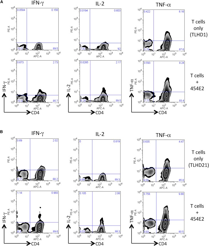 HLA-DR Antibody, FITC (11-9956-42)