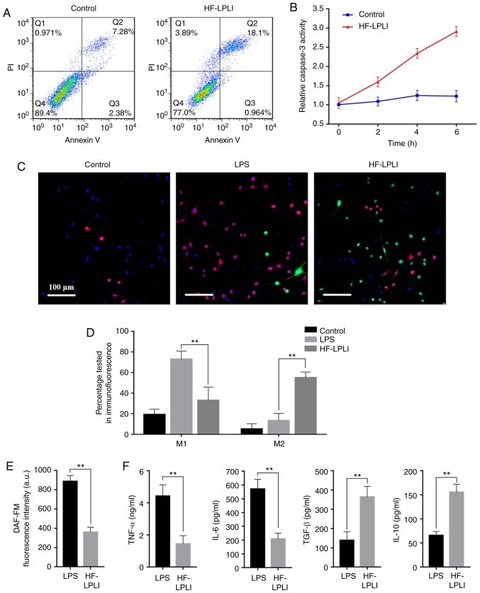 CD86 Antibody (MA1-10293)